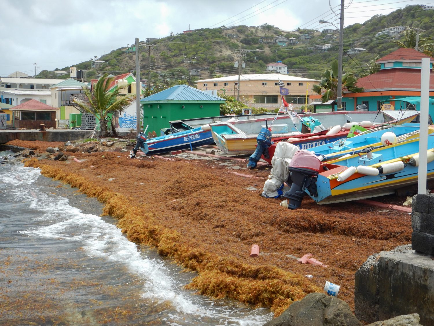Gulf and Caribbean Fisheries Institute
