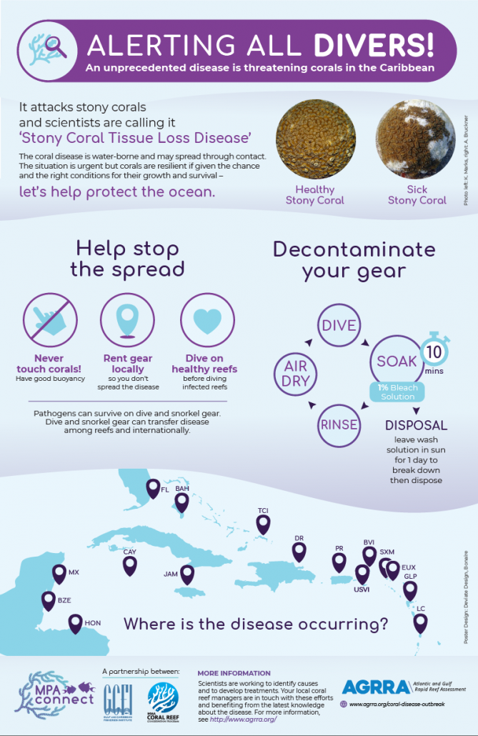 Stony Coral Tissue Loss Disease - Gulf and Caribbean Fisheries Institute